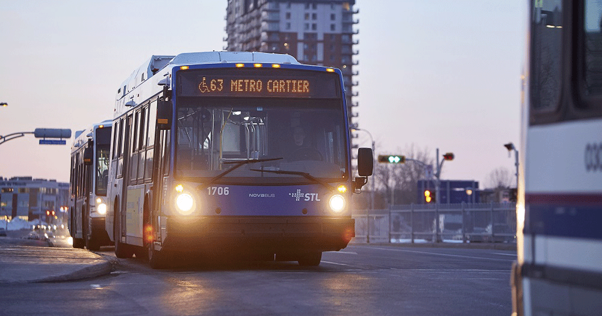 STL | Transport adapté : réservation en ligne bientôt disponible